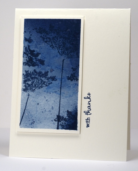 Queen Anne’s Lace | Heather Telford